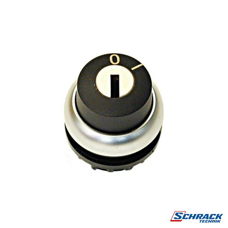 Key-operated Switch, 2 Positions, Stay-Put, 60° - ICE – Industrial ...